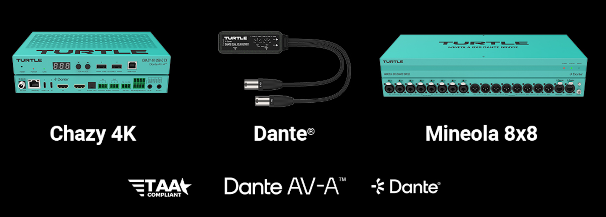 We.Are.TURTLE – Turtle AV